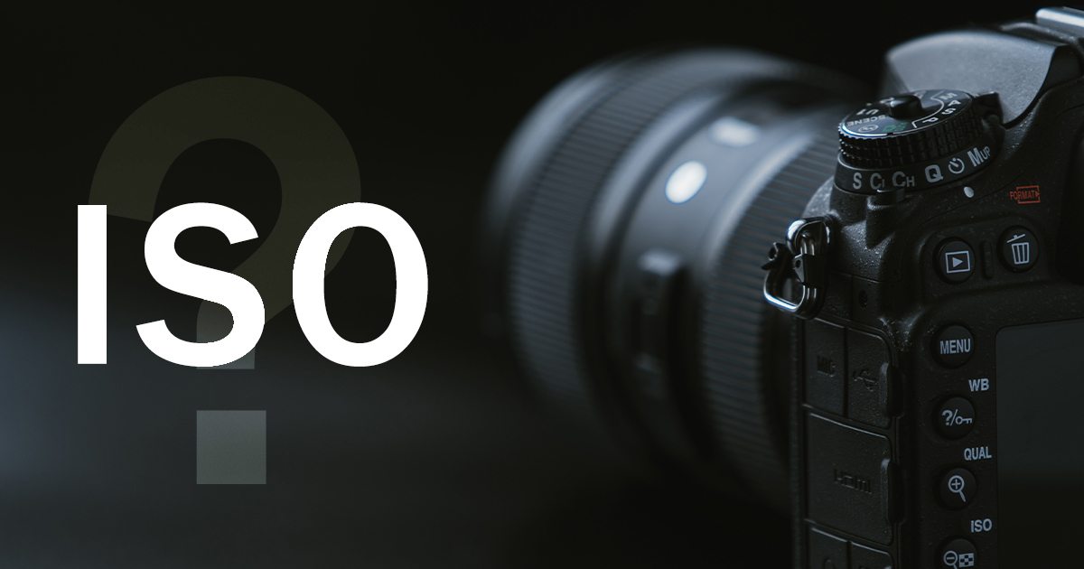 What Is ISO In Photography - Photographer's Freedom