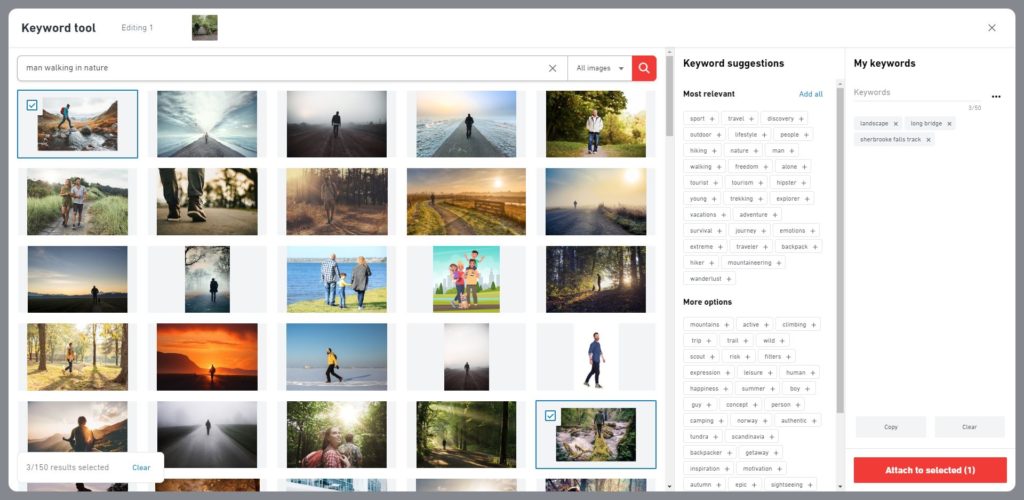 Best Keywords For Shutterstock - Photographer's Freedom
