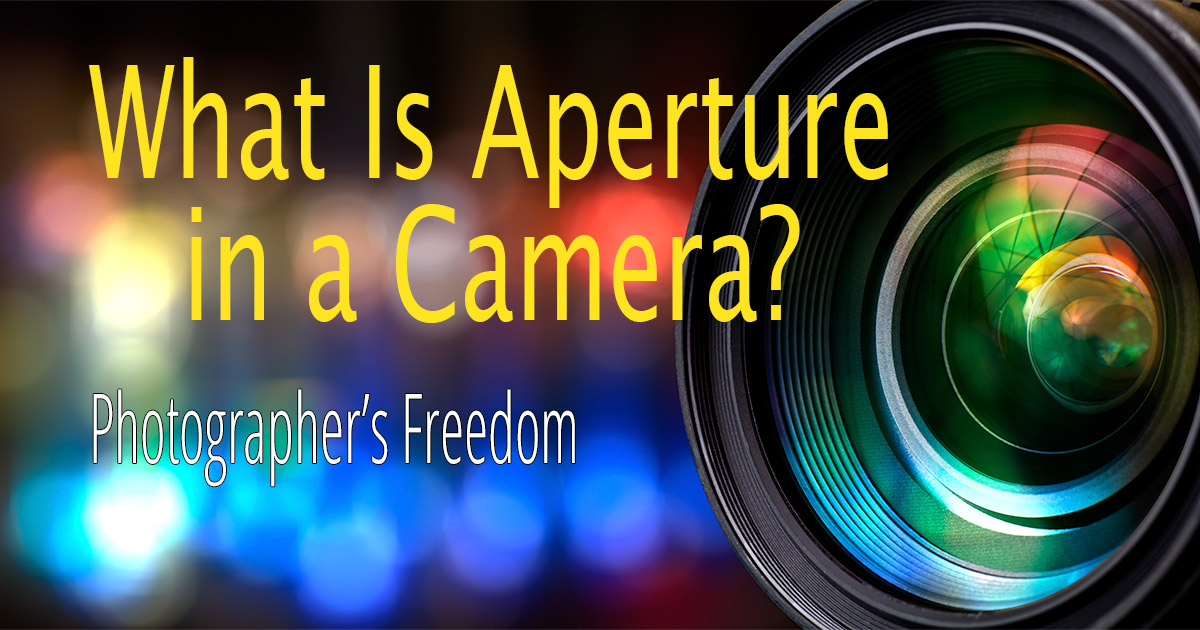 What Is Aperture in a Camera? - Photographer's Freedom