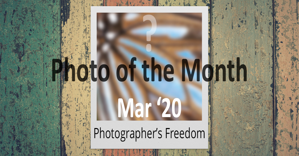 Photo Of The Month March 2020 - Photographer's Freedom