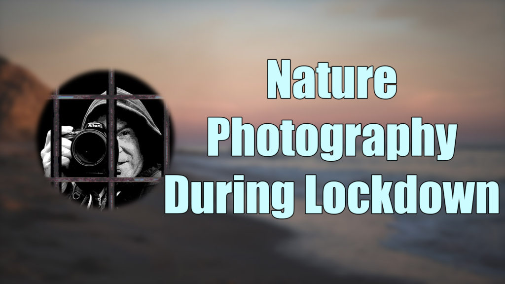 Photography Skills Tutorials - Photographer's Freedom