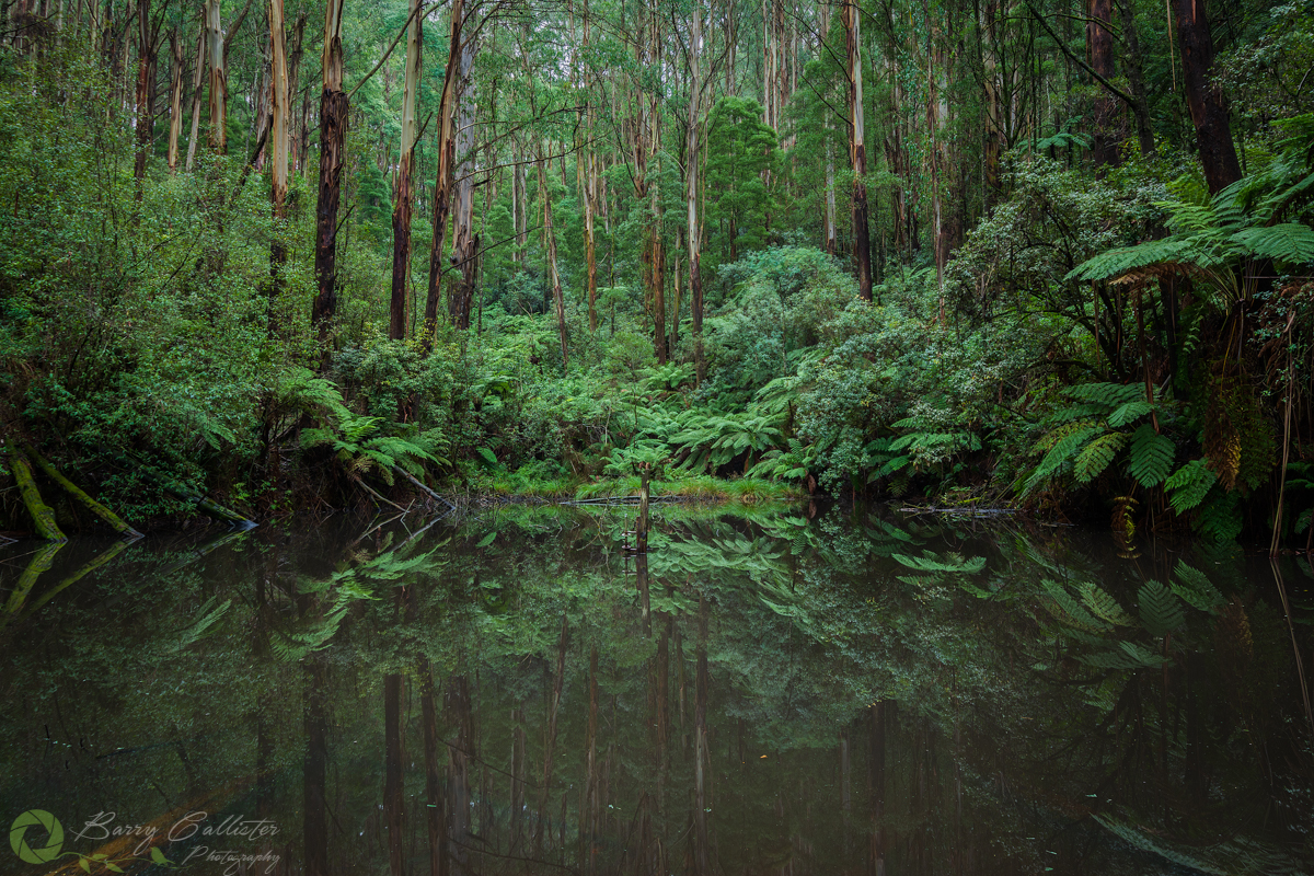 Tamron 10-24mm Lens In-Depth Review With Sample Images - Photographer's ...